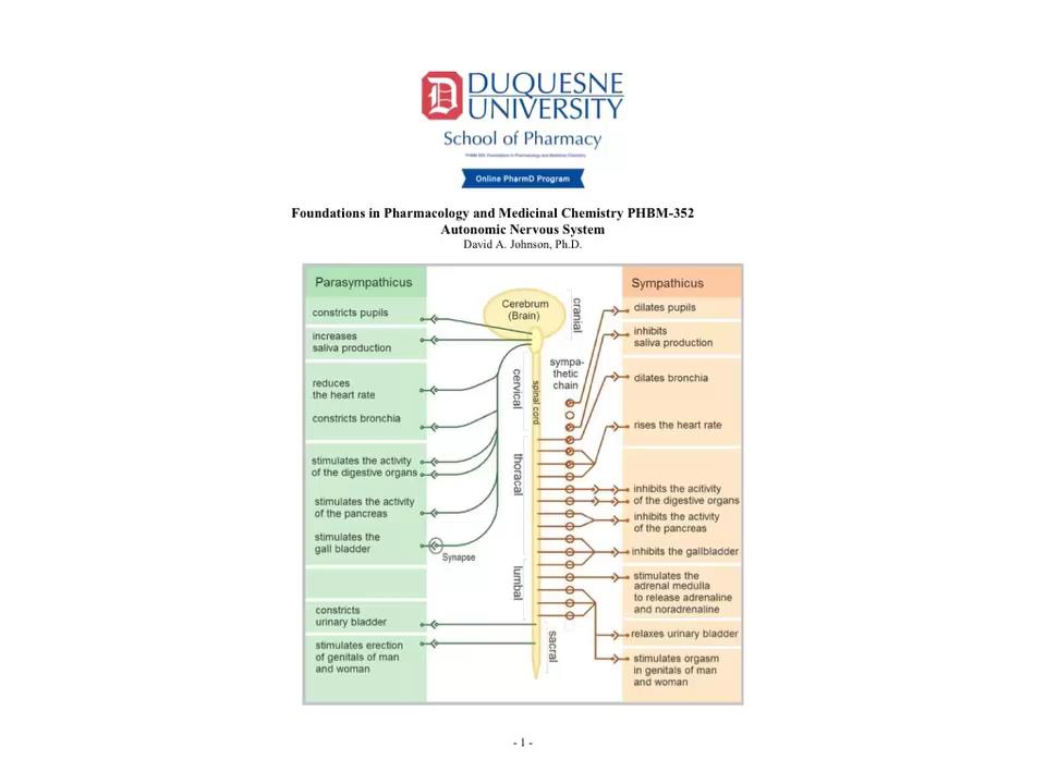 Foundations OPP ANS Lecture 1