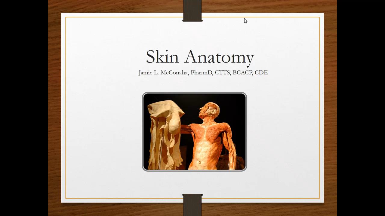 Basic Skin Anatomy
